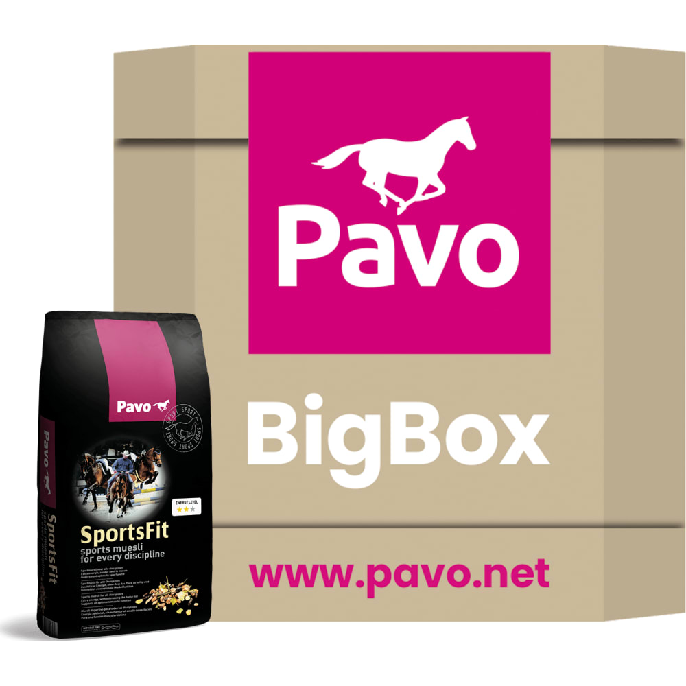Pavo SportsFit Big Box 450 kg